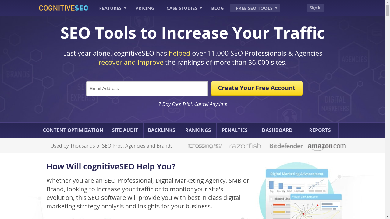 Understanding Backlink Reports with Analysis Software - Backlink Manager