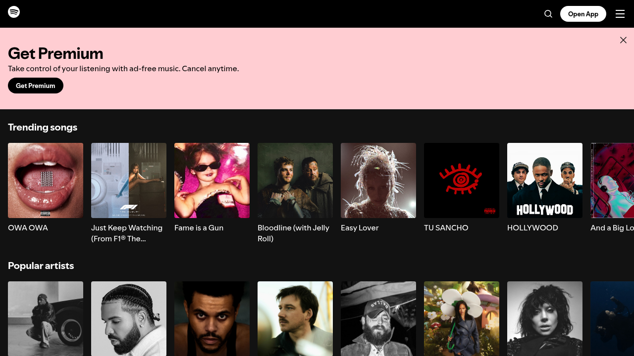 Why is Spotify not profiting?
